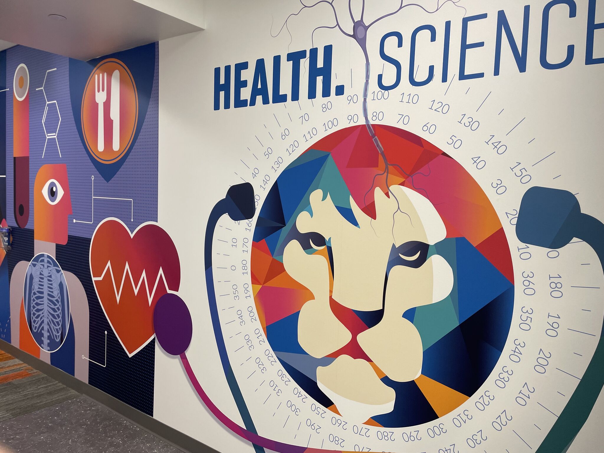 School Wall Graphics